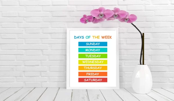 Education Poster - Months - Days - Numbers - ABC Alphabets - Colors ...